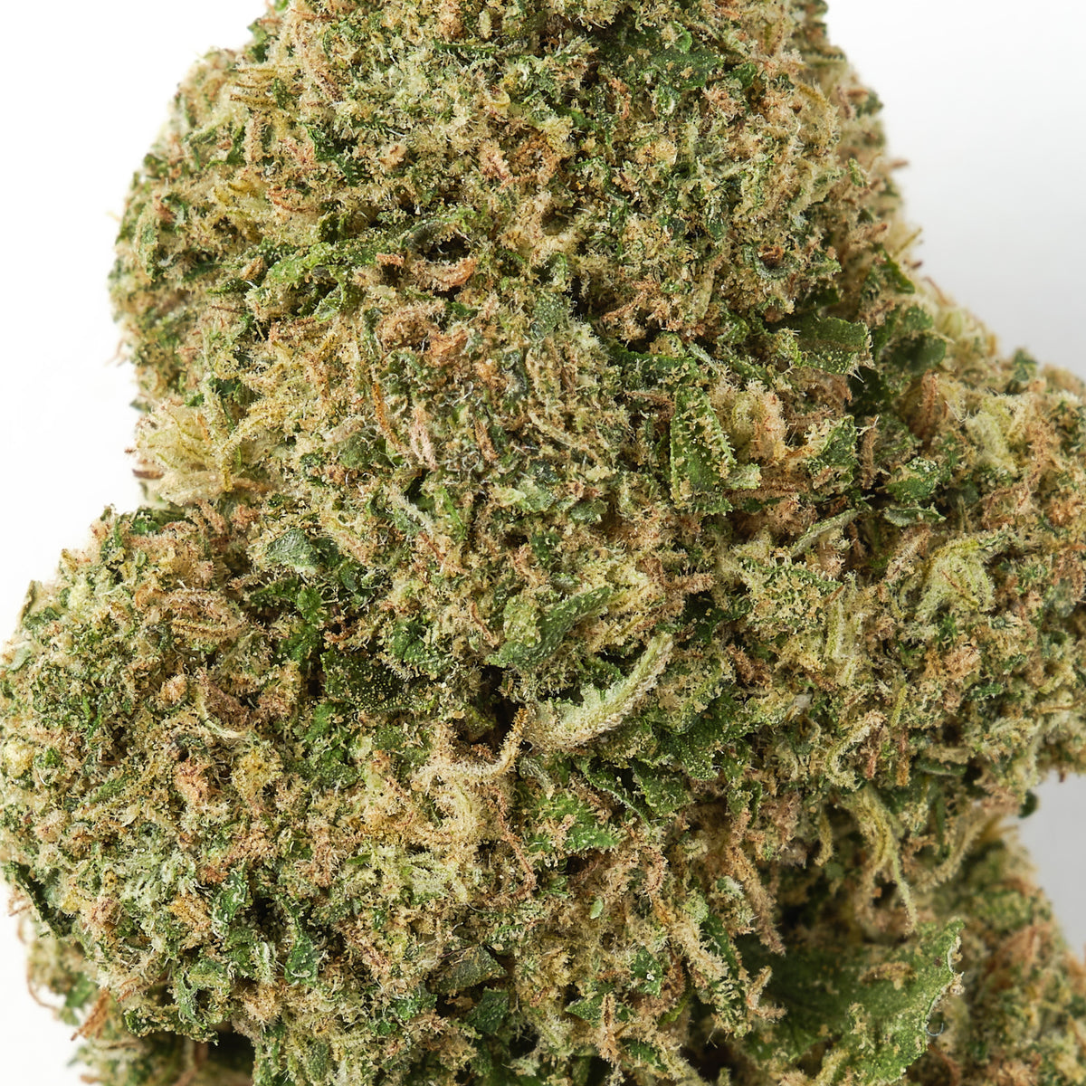 Sweet Candy / CBD Flower / Glasshouse – Strain Station