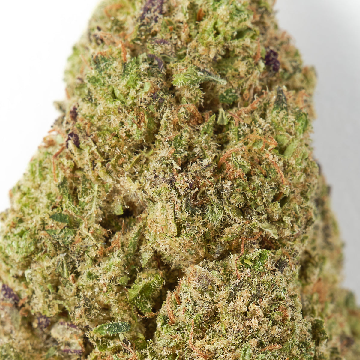 Snow Flake / CBD Flower / Indoor – Strain Station