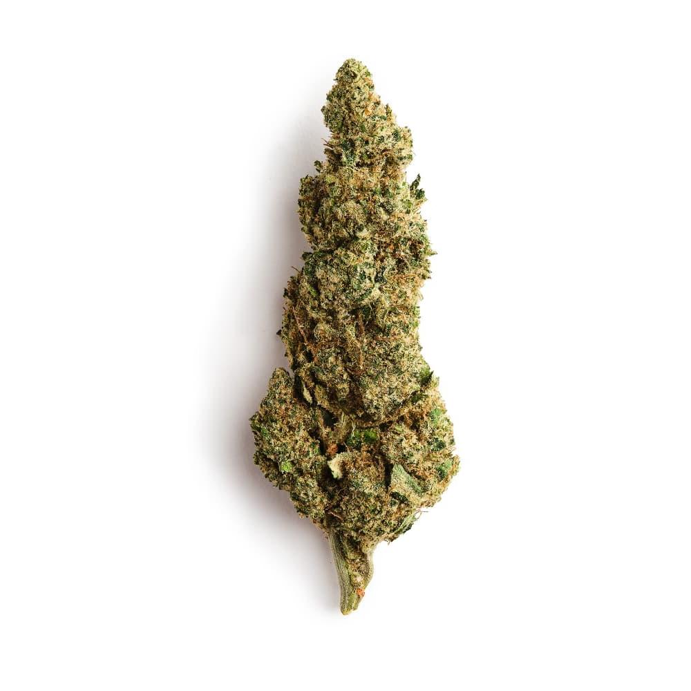 Sour Dank / CBD Flower / Indoor – Strain Station